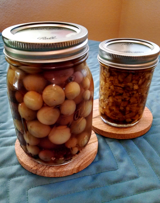 Tomolives – Braisin' Hussy